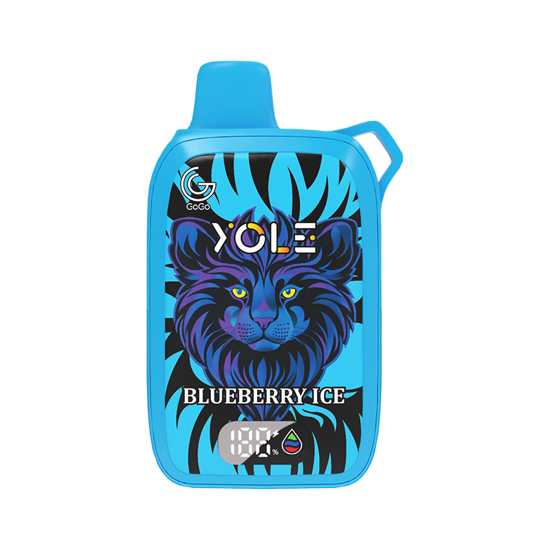 GOGOV-002(A)_Disposable Vape_Products_GoGo vapes